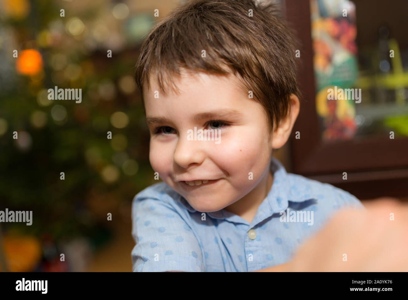 Portrait of a smiling, pretty boy of several years in the children room ...