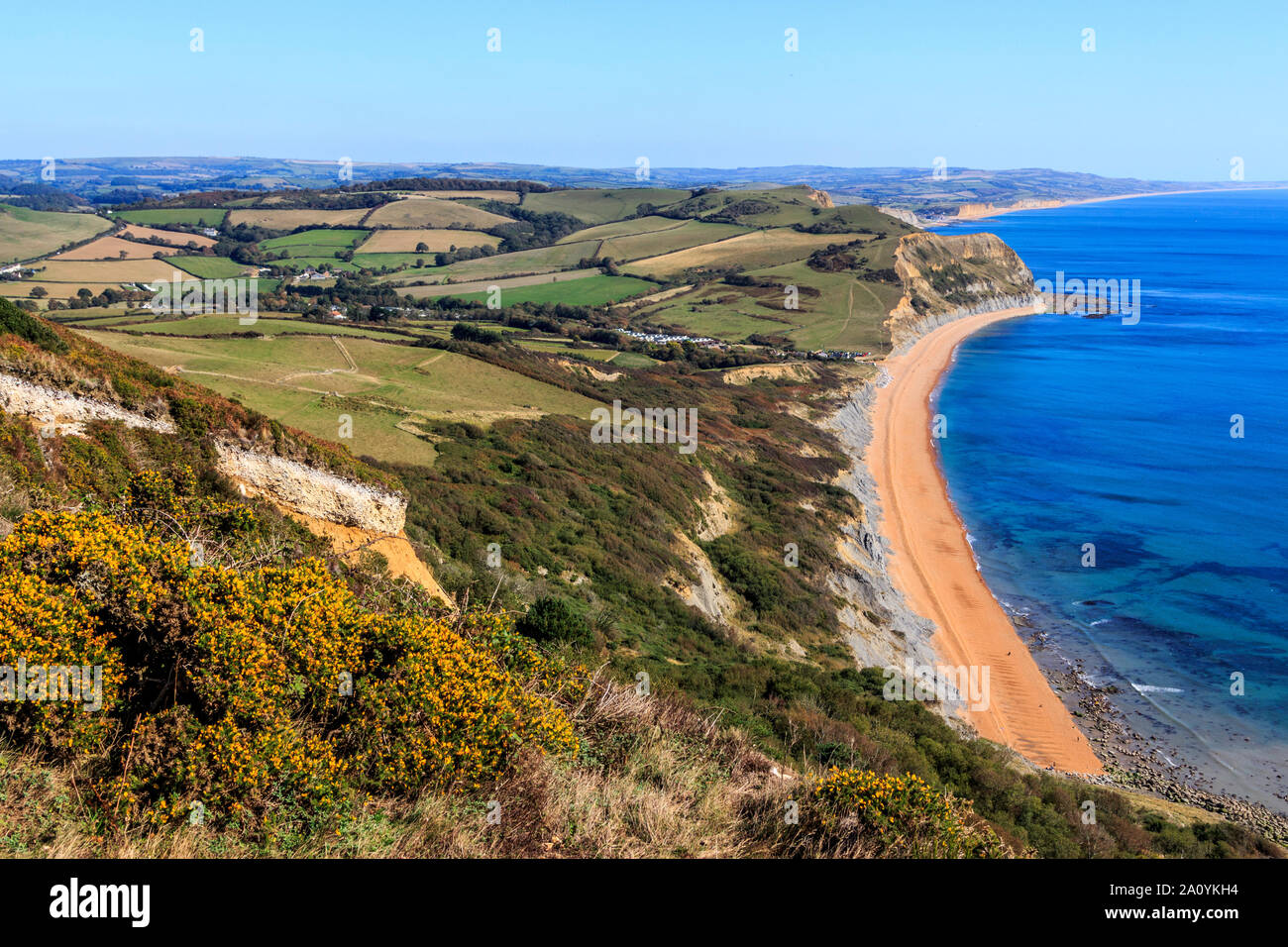 south coast path walk from charmouth to golden cap, dorset, england, uk ...