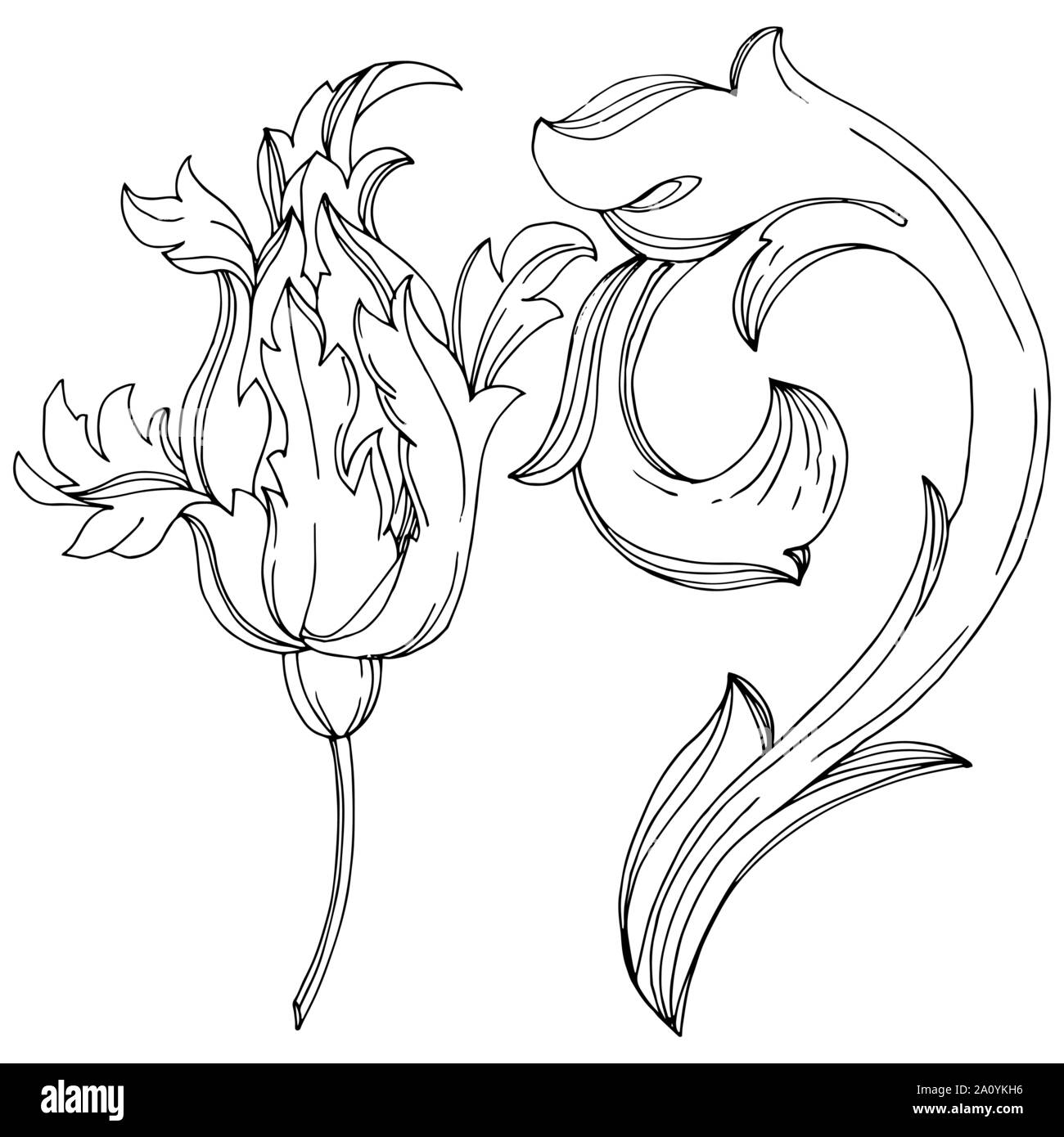 Vector Baroque monogram floral ornament. Baroque design isolated ...