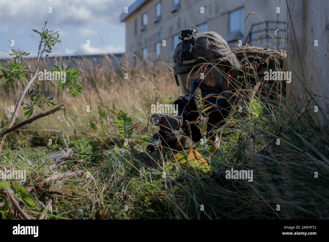 Adak National Forest Alaska