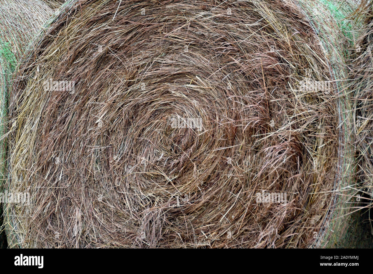 Storing moisture hi-res stock photography and images - Alamy