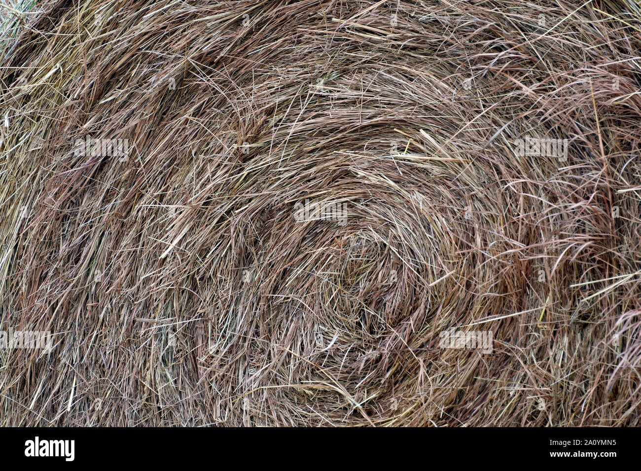 Storing moisture hi-res stock photography and images - Alamy