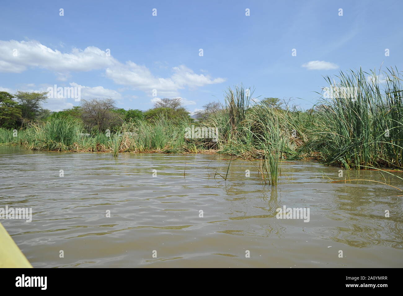 Rift chamo hi-res stock photography and images - Alamy