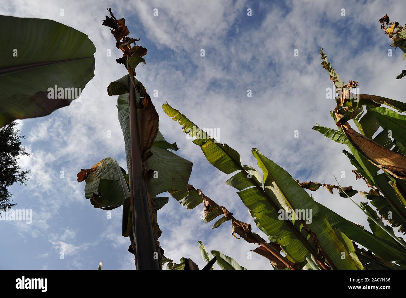 Dorze High Resolution Stock Photography and Images - Alamy