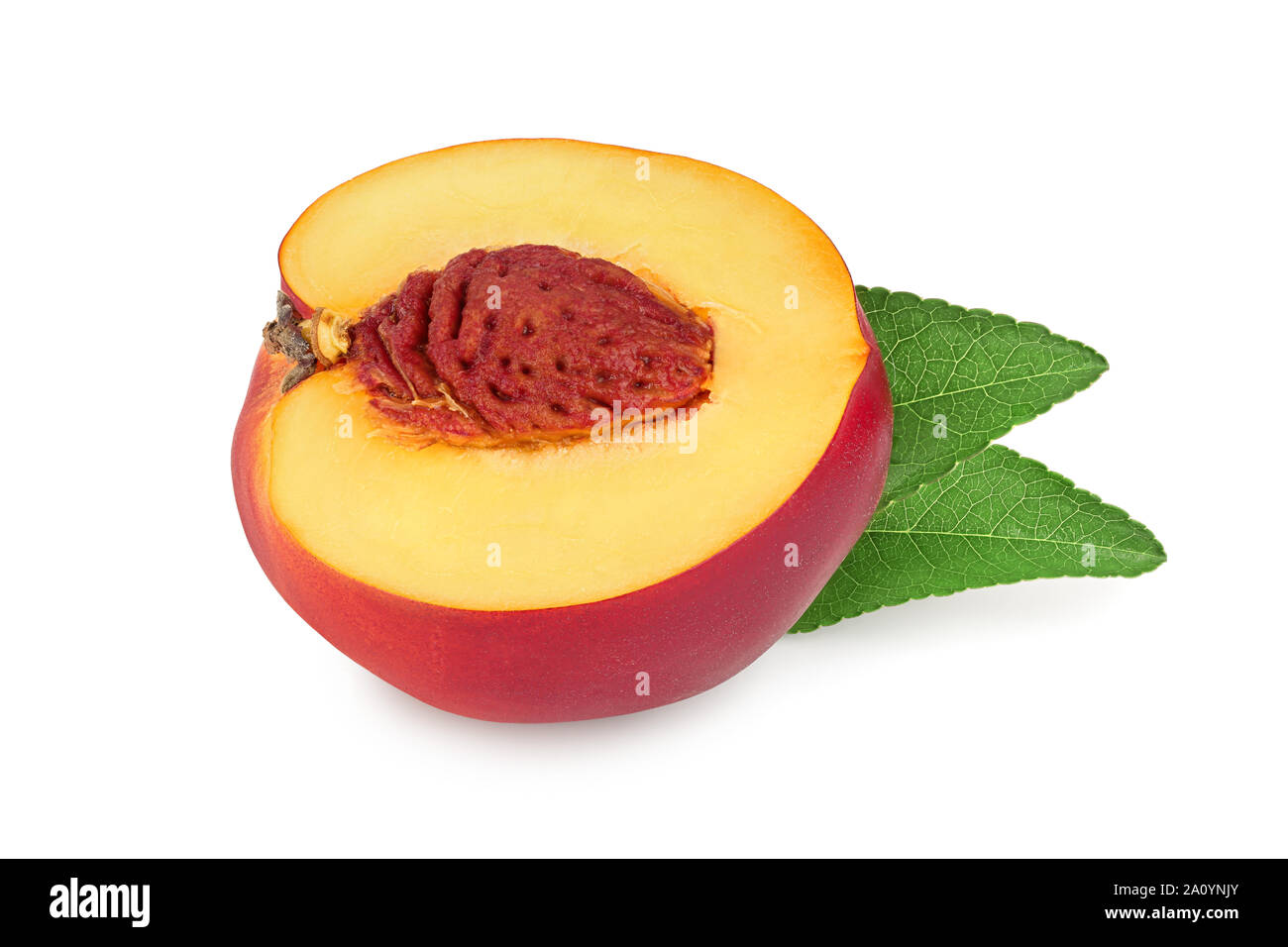 Half nectarine fruit with leaf isolated on white background cutout ...