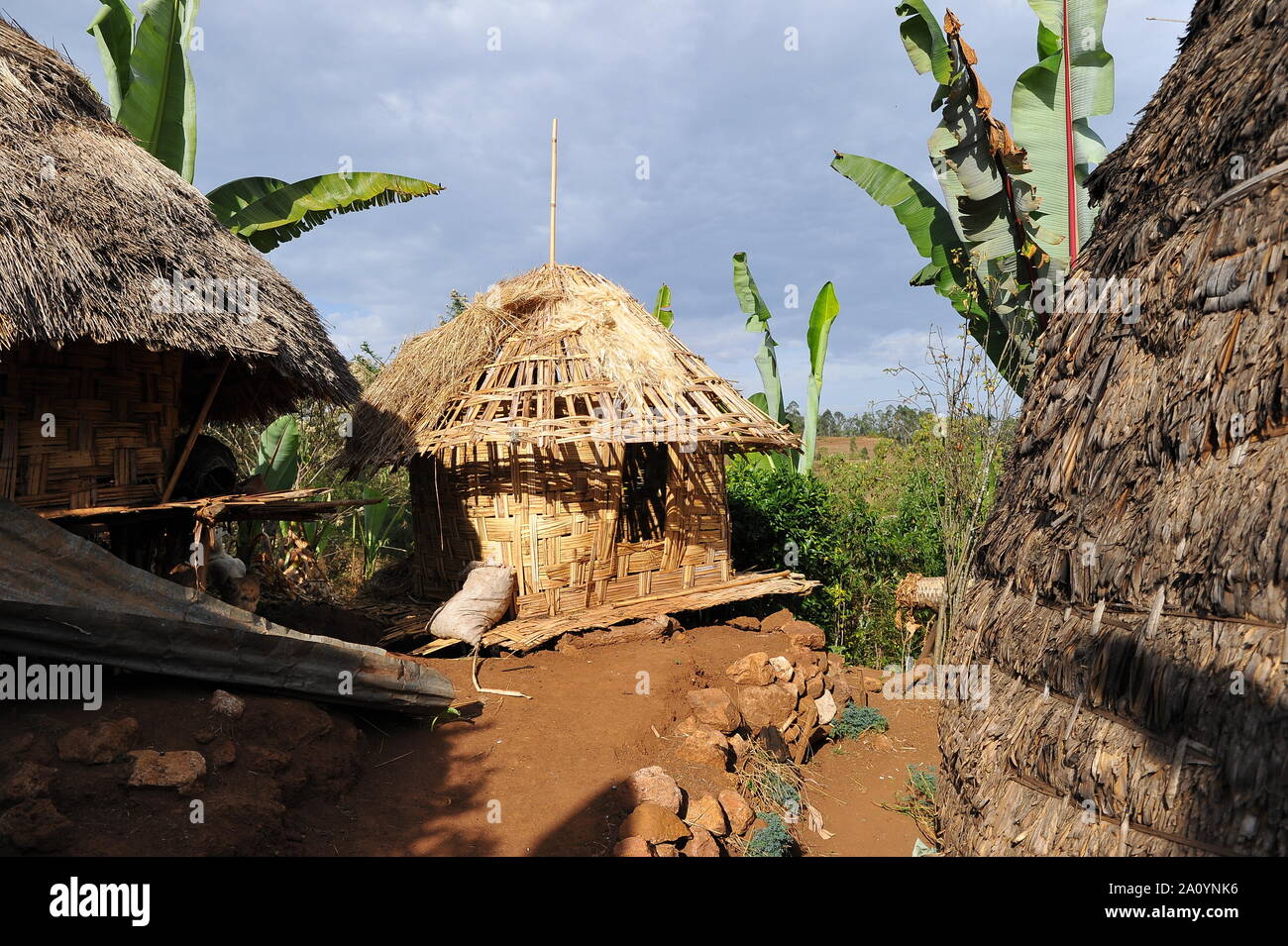Ethiopian tribal hi-res stock photography and images - Alamy
