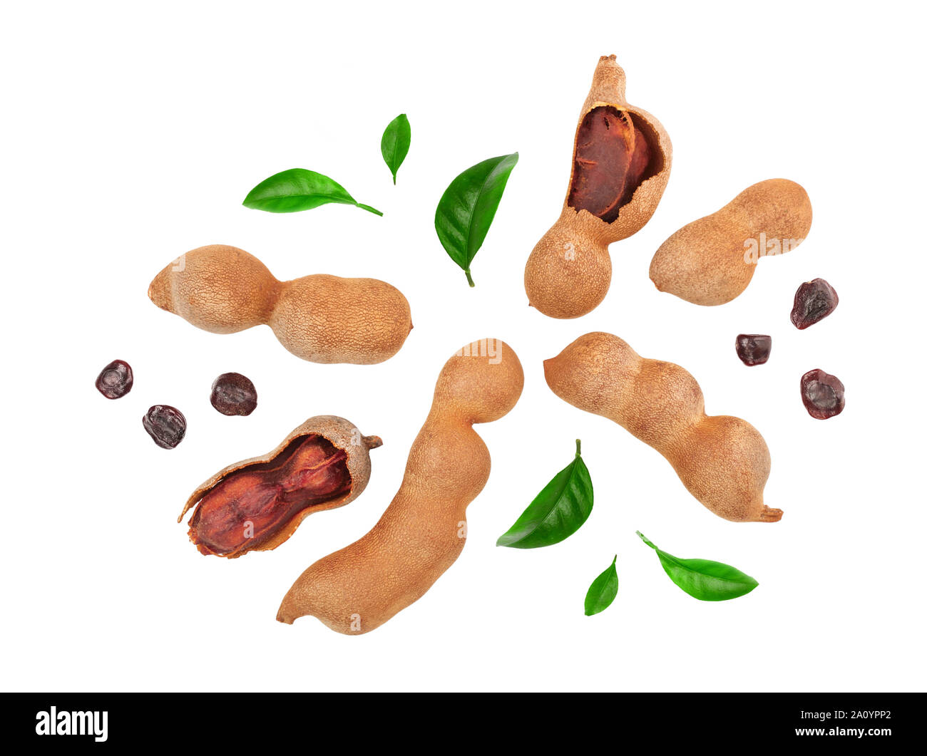 Tamarind fruit with leaf and seed isolated on white background, Top ...