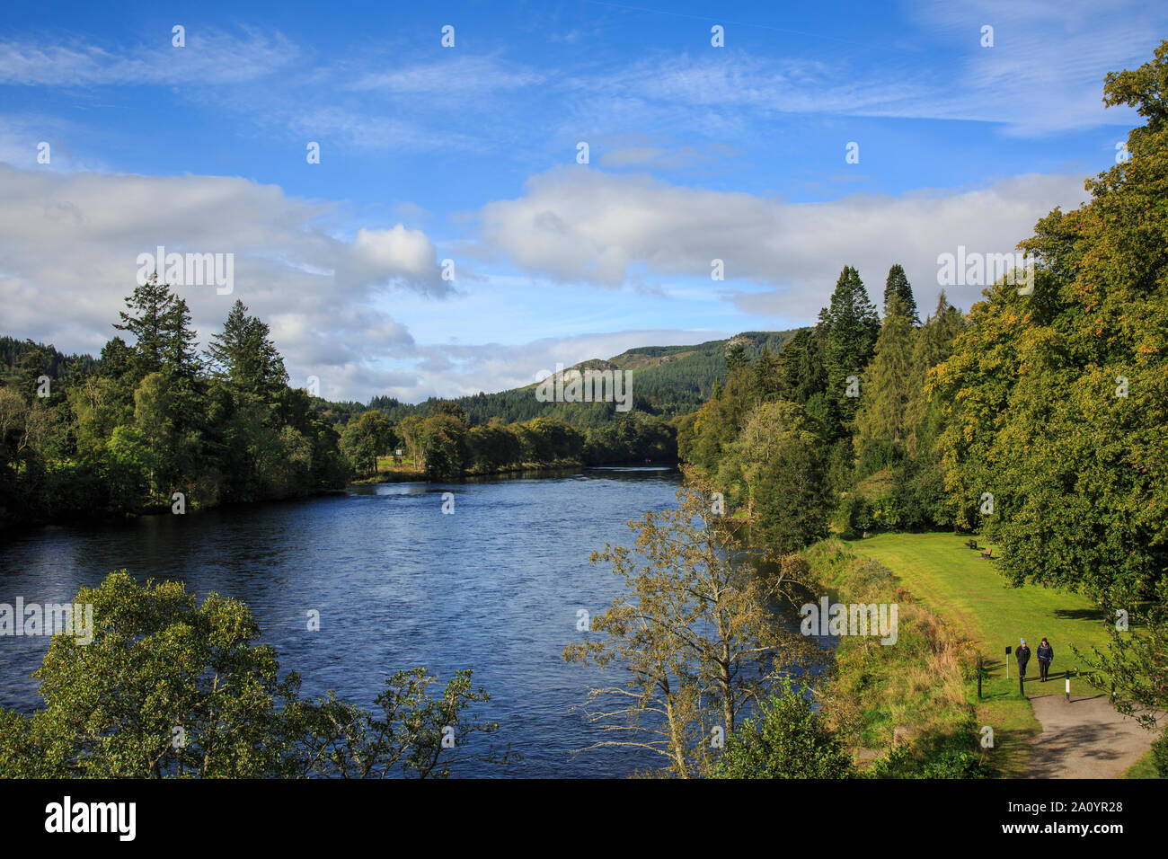 River tay scotland bridge trees hi-res stock photography and images - Alamy