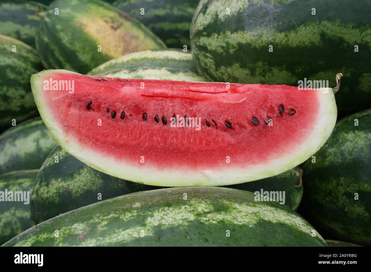 Fresh Watermelon at Soulard Market Stock Photo - Alamy
