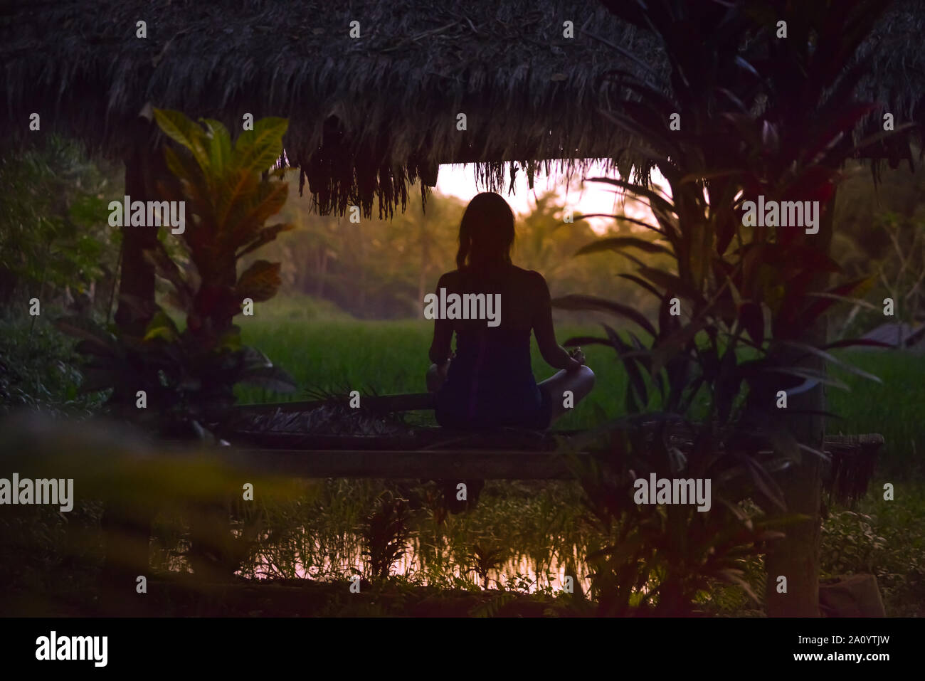 Young woman meditating in the lotus pose on a rice field in bamboo hut ...