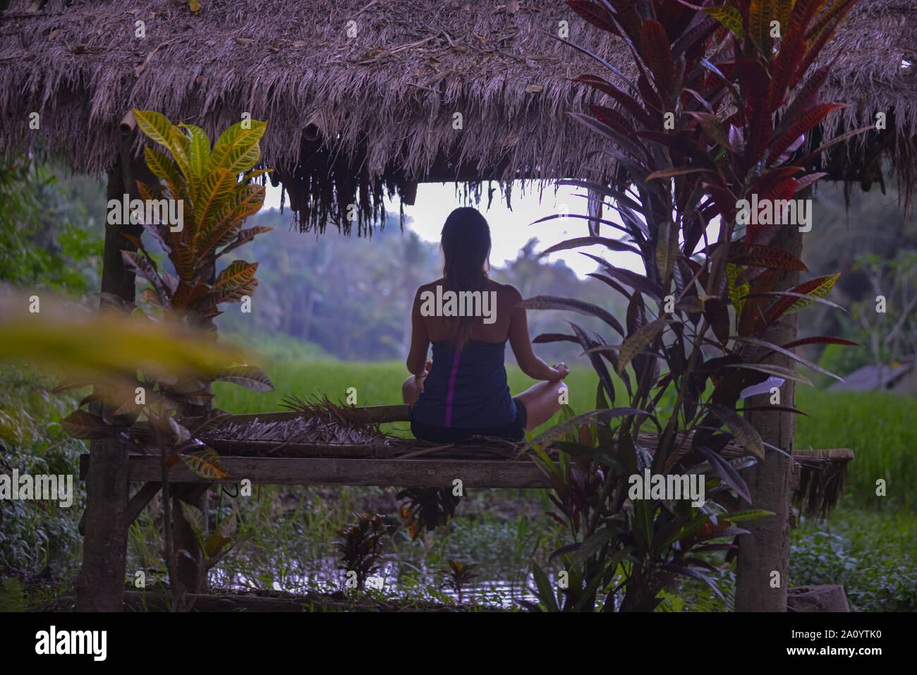 Young woman meditating in the lotus pose on a rice field in bamboo hut ...