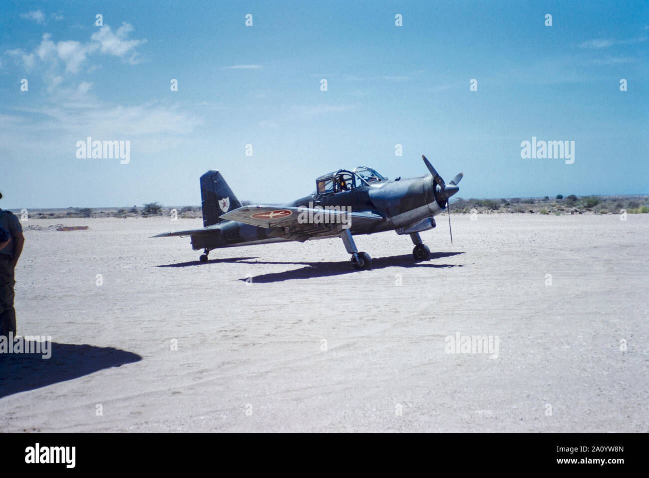 A Percival P.56 Provost training aircraft in operation by the RAF at ...