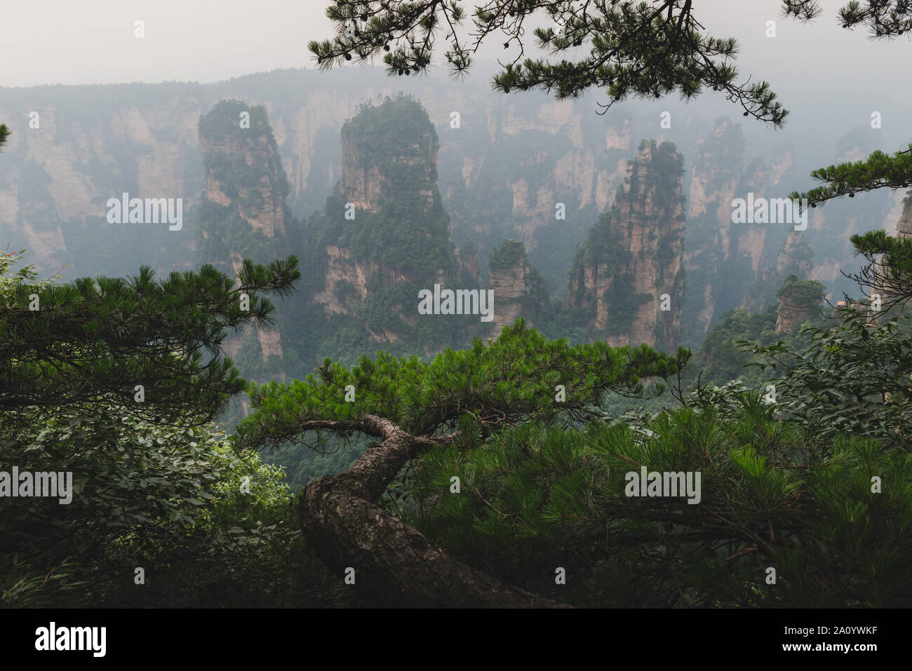 Hunan province hi-res stock photography and images - Alamy