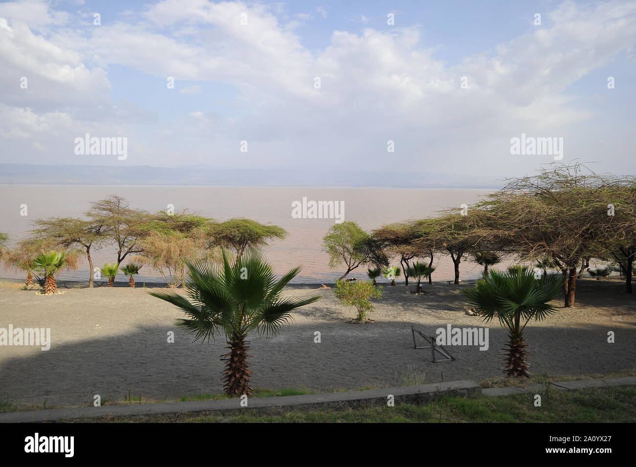Langano lake ethiopia hi-res stock photography and images - Alamy