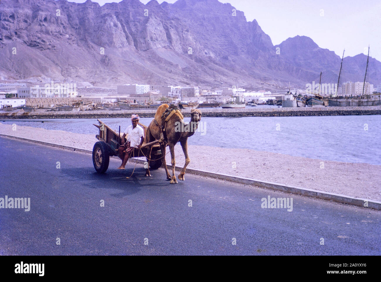 Traditional transport at the scenic port of Aden and temporary capital ...