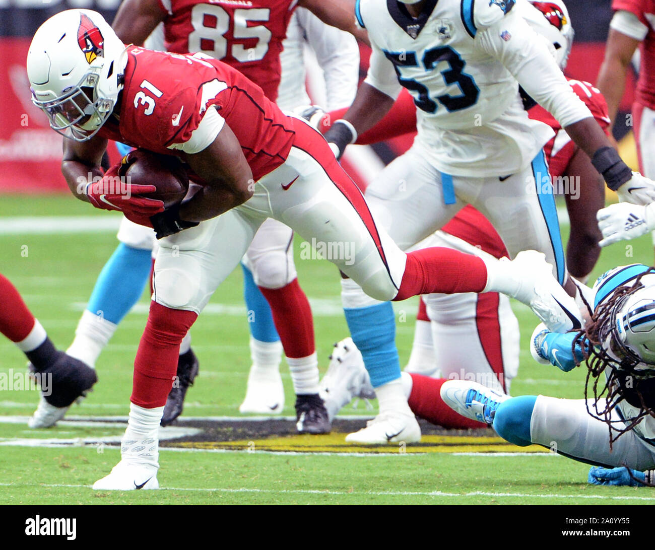 David johnson cardinals hi-res stock photography and images - Alamy