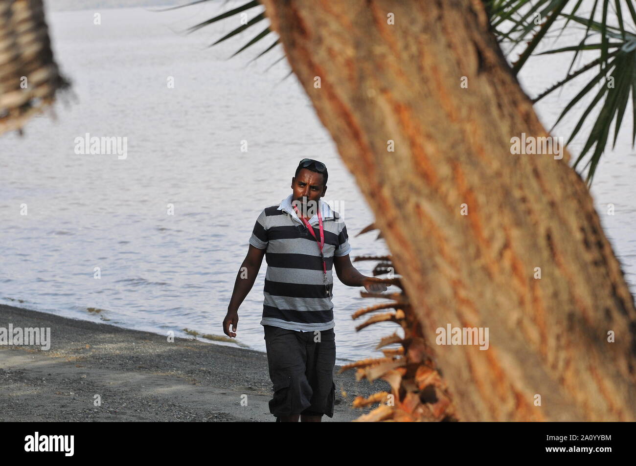 Ethiopia tana lake bird hi-res stock photography and images - Alamy