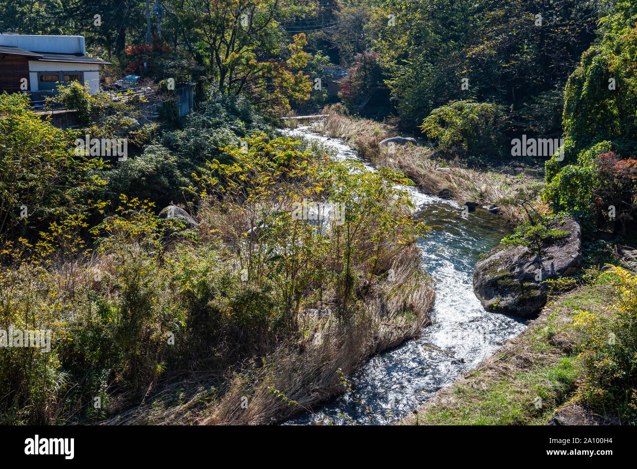 Mitake Shosenkyo Gorge Autumn foliage scenery view in sunny day. Beauty ...