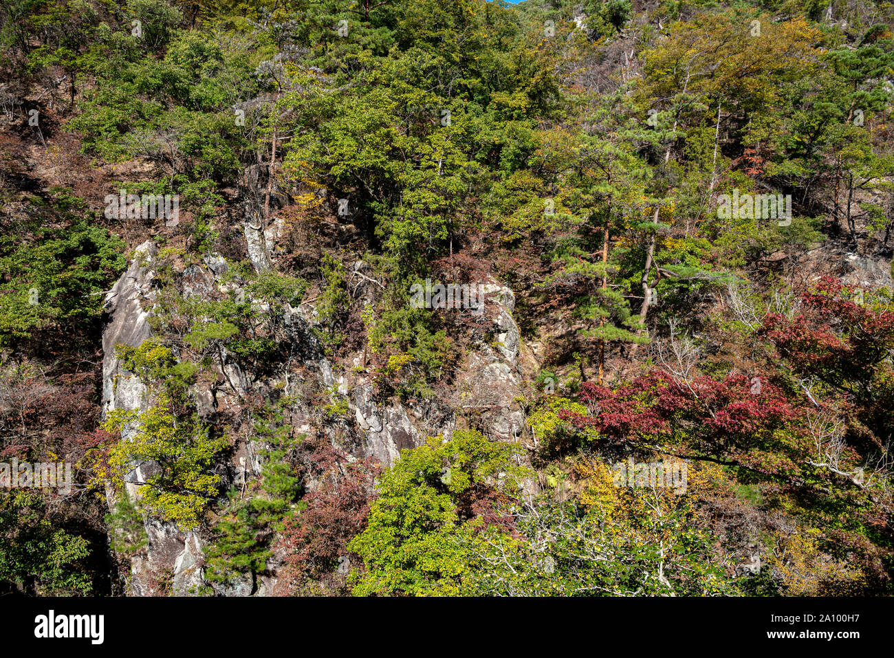 Mitake Shosenkyo Gorge Autumn foliage scenery view in sunny day. Beauty ...