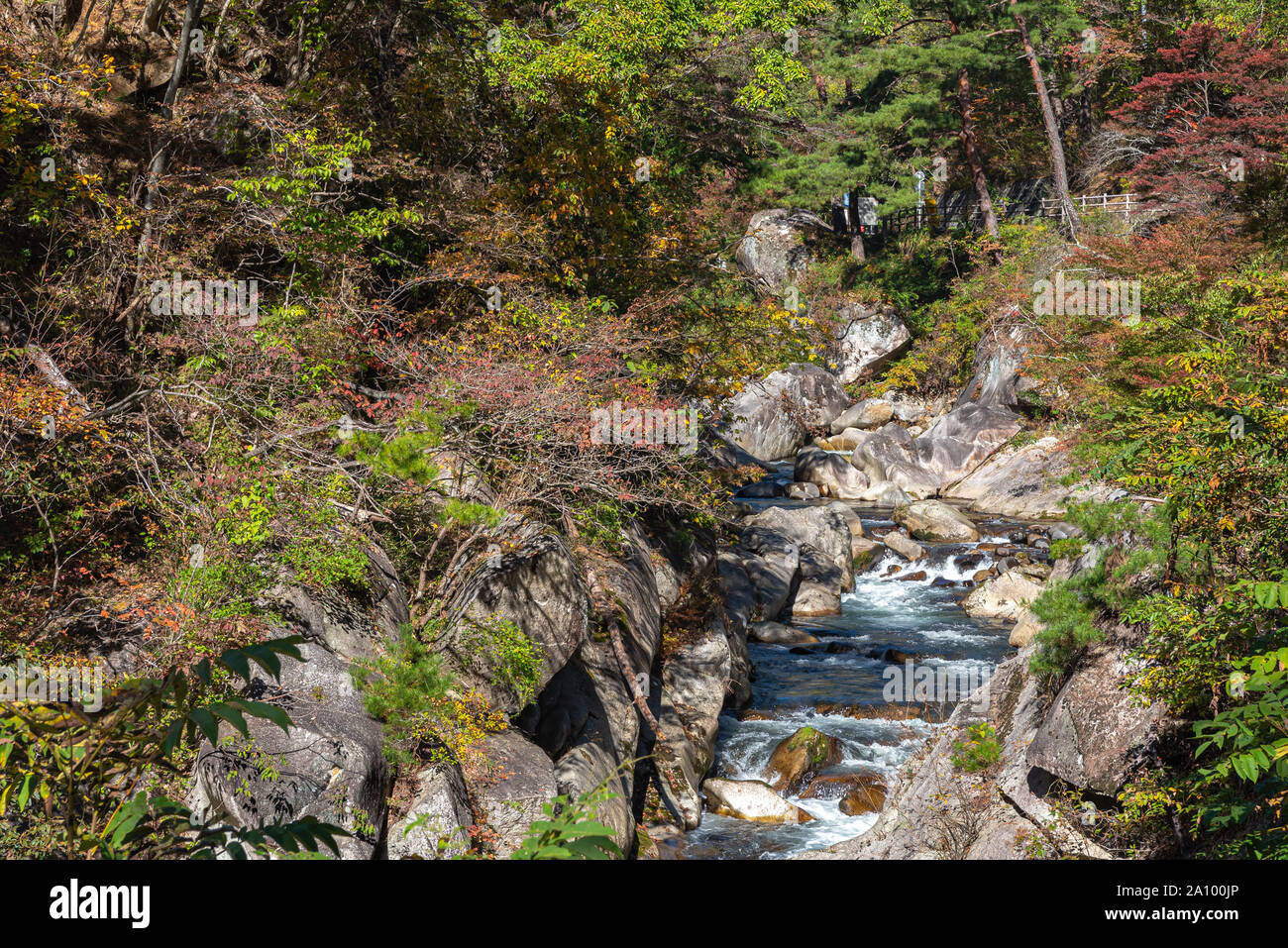Mitake Shosenkyo Gorge Autumn foliage scenery view in sunny day. Beauty ...