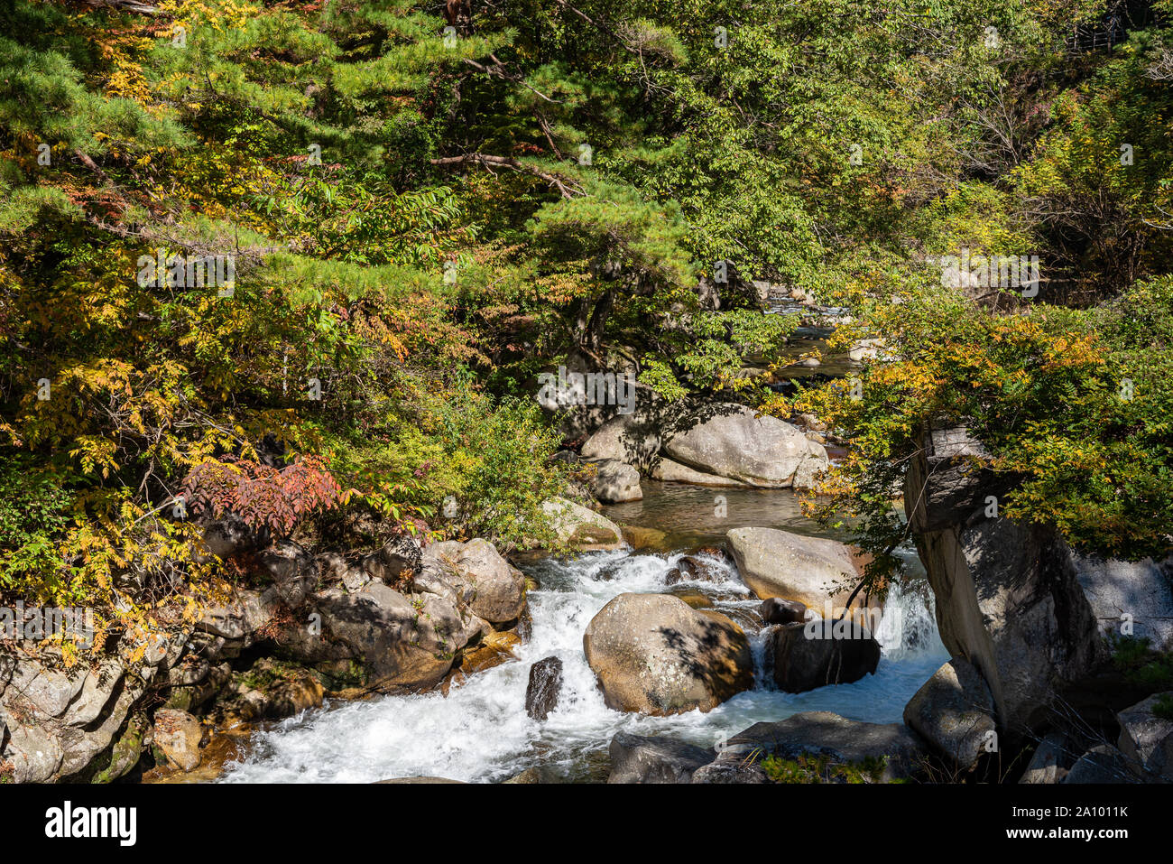Mitake Shosenkyo Gorge Autumn foliage scenery view in sunny day. Beauty ...
