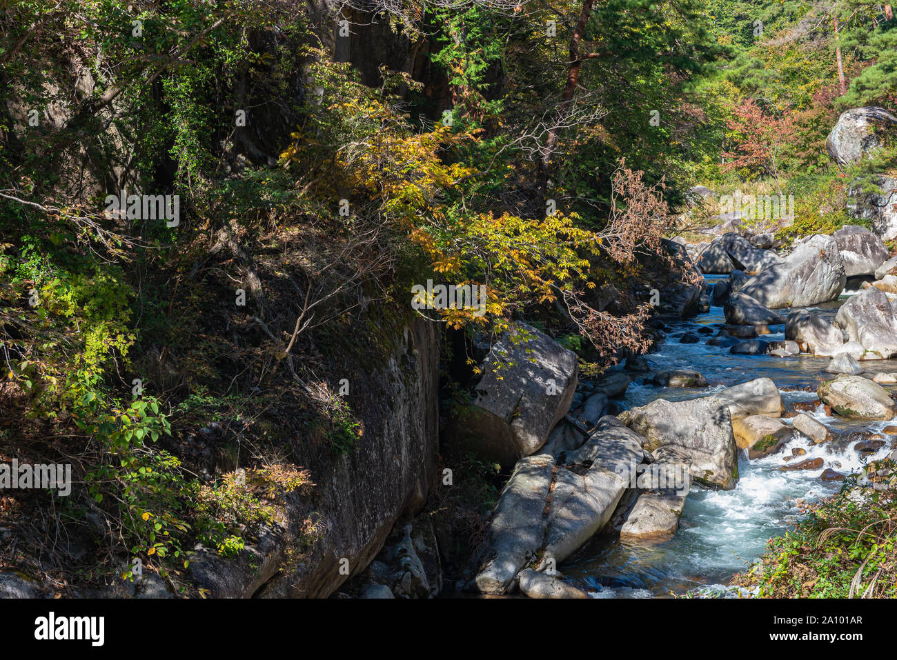 Mitake Shosenkyo Gorge Autumn foliage scenery view in sunny day. Beauty ...