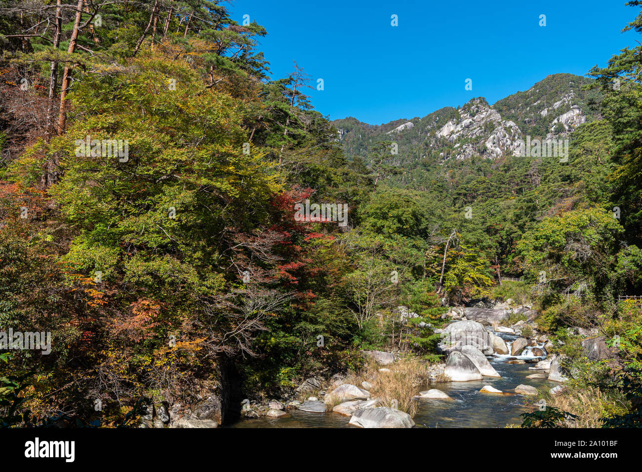 Mitake Shosenkyo Gorge Autumn foliage scenery view in sunny day. Beauty ...