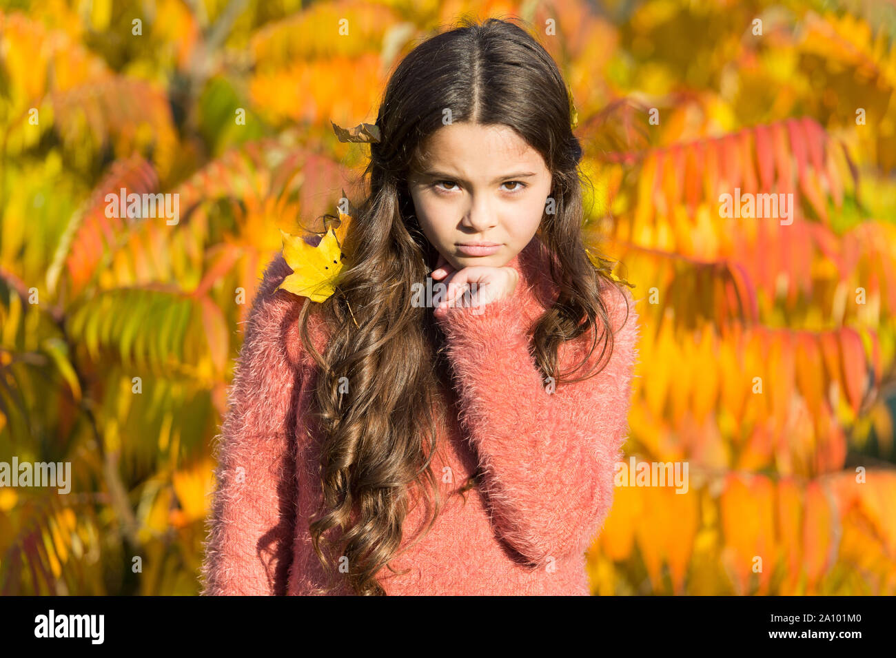 Headache and prostration. Type of depression that starts in fall ...