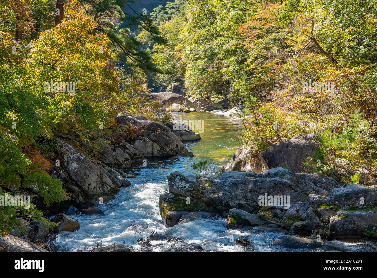 Mitake Shosenkyo Gorge Autumn foliage scenery view in sunny day. Beauty ...