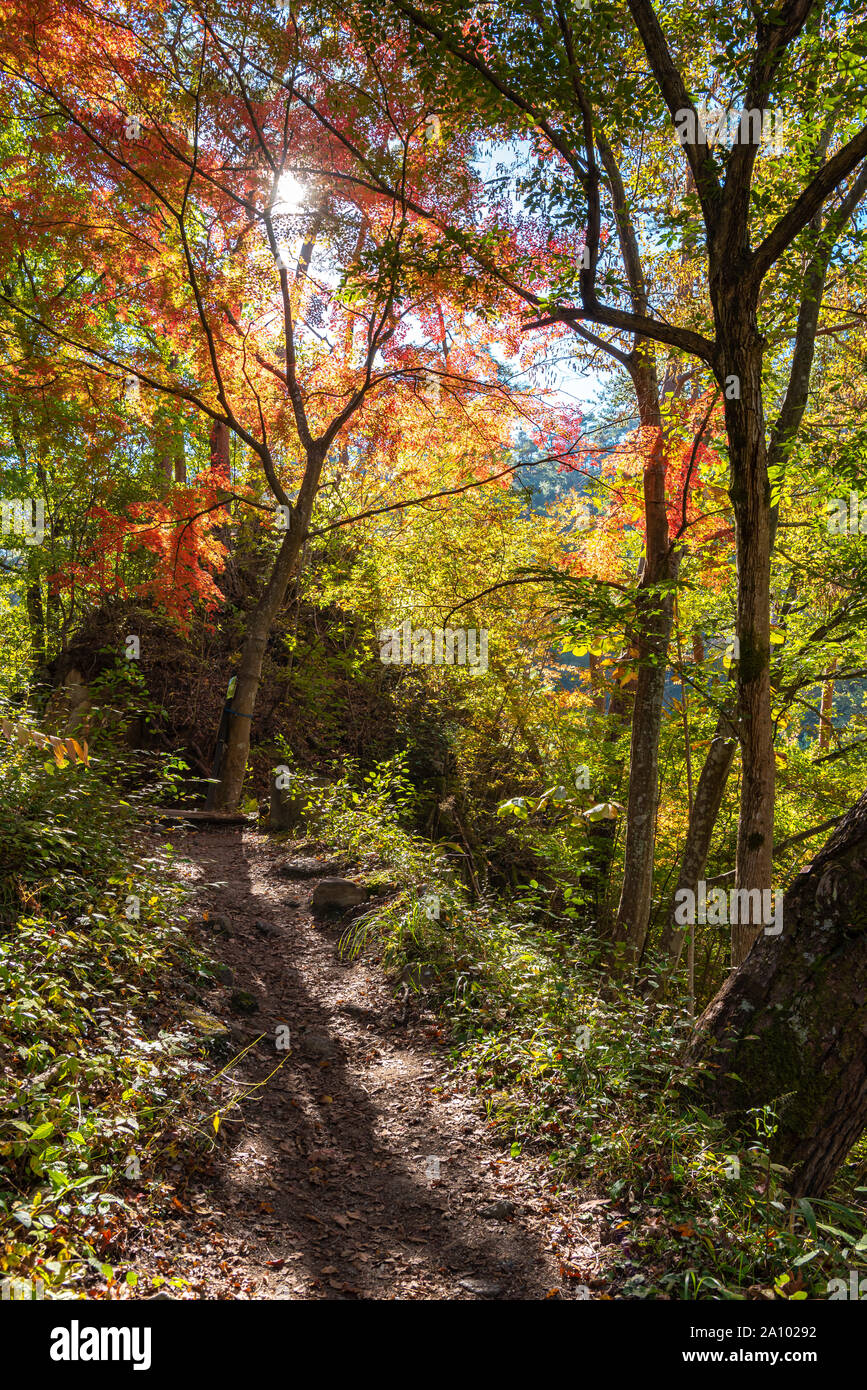 Mitake autumn hi-res stock photography and images - Alamy