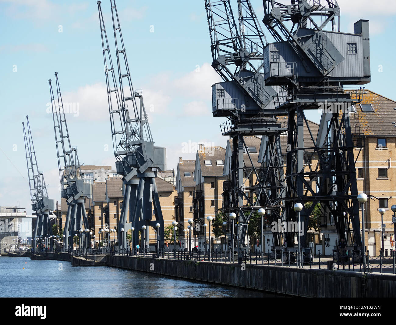 View of a row of cranes on the south side of the Royal Victoria Docks ...
