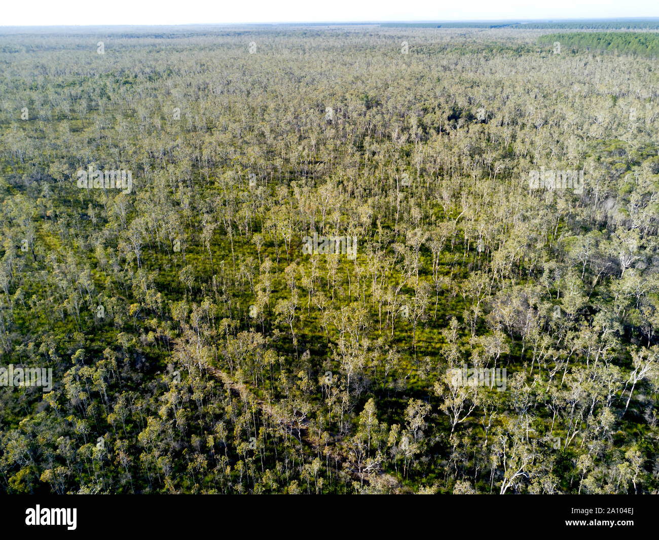 Poona hi-res stock photography and images - Alamy