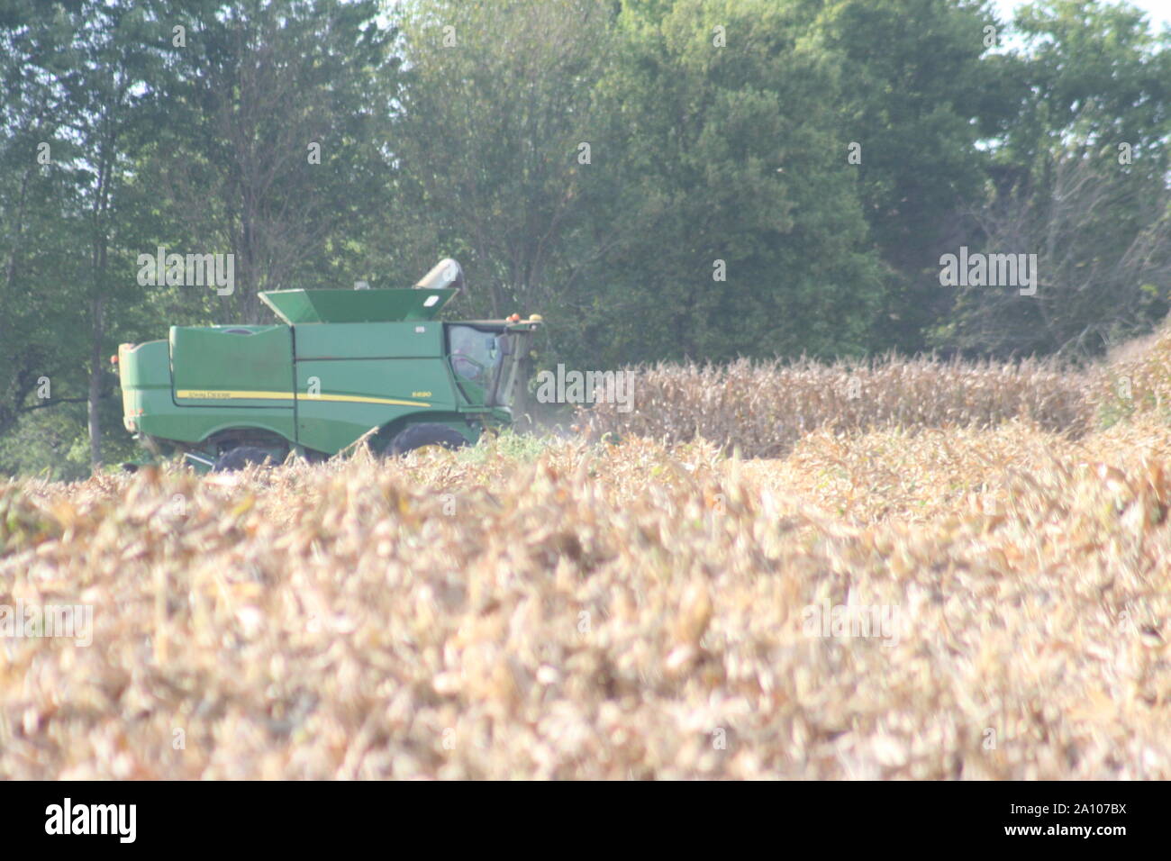 Combine on the hill in corn field Stock Photo - Alamy