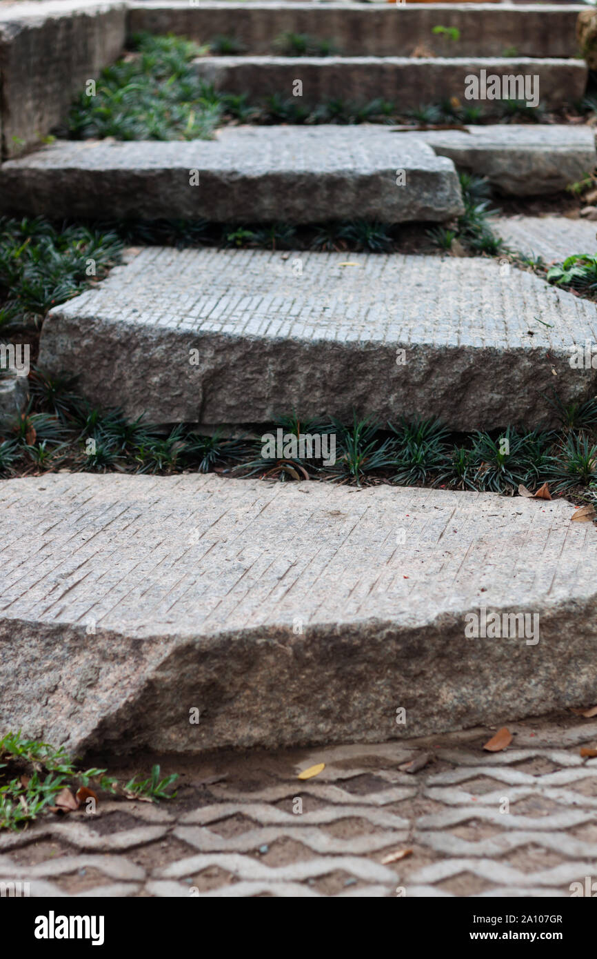 The step path in the garden, stock photo Stock Photo - Alamy