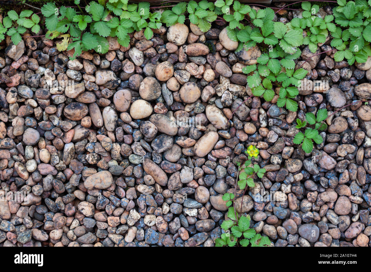 Pebble stones and bricks abstract background, stock photo Stock Photo ...
