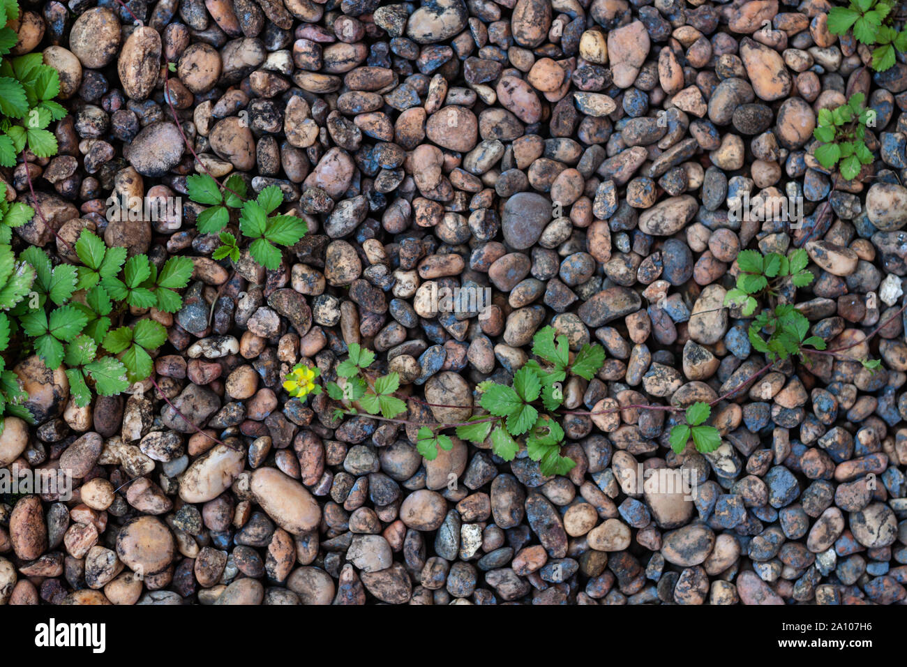 Pebble stones and bricks abstract background, stock photo Stock Photo ...