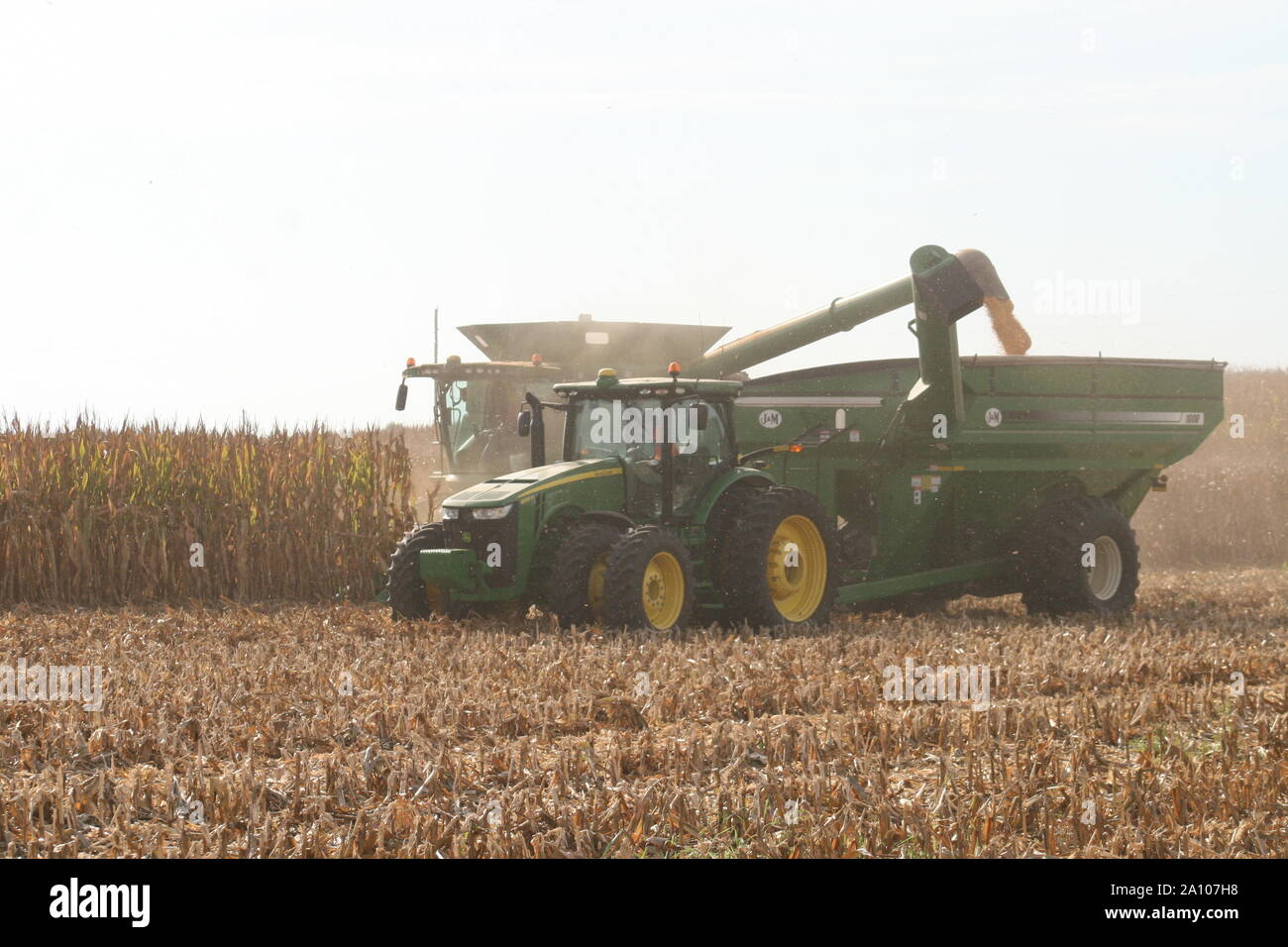 Transfer grain hi-res stock photography and images - Alamy
