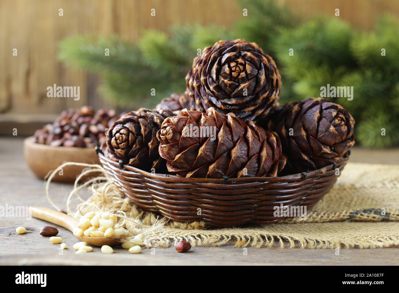 natural organic pine cones and nuts Stock Photo - Alamy