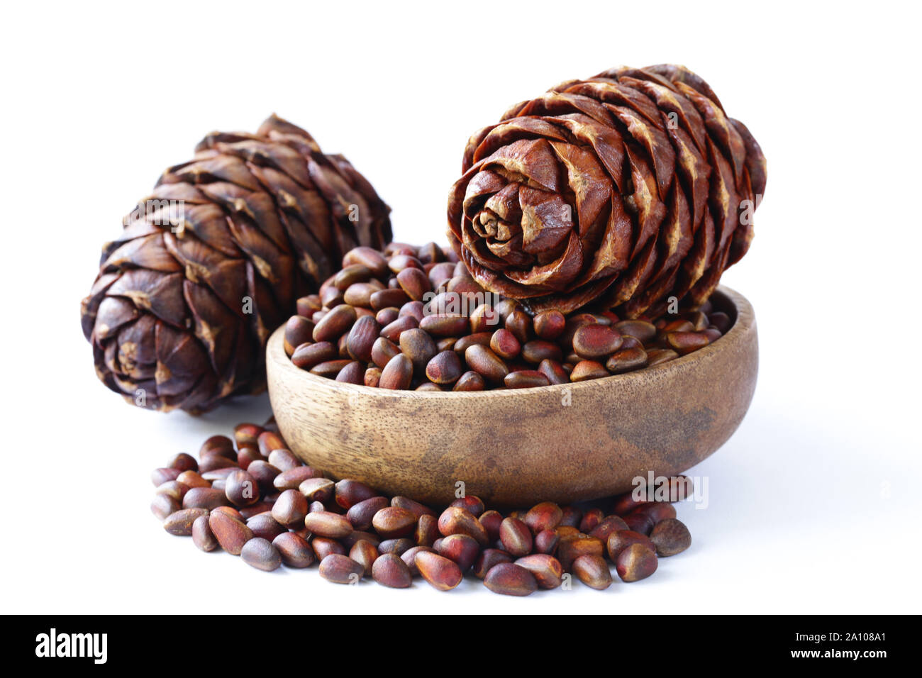 natural organic pine cones and nuts Stock Photo - Alamy
