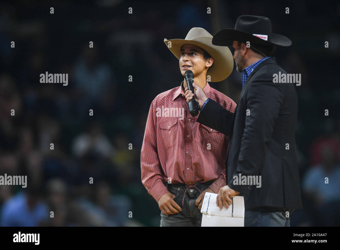 Fairfax, Virginia, USA. 22nd Sep, 2019. DALTON KASEL chooses his bull ...