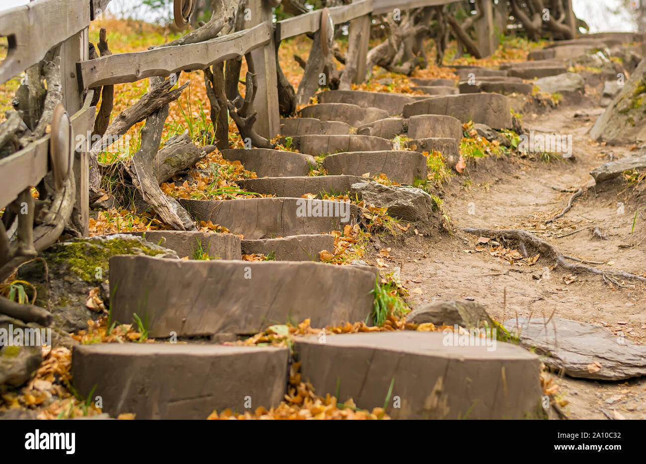 Tree Stumps Mountain High Resolution Stock Photography and Images - Alamy