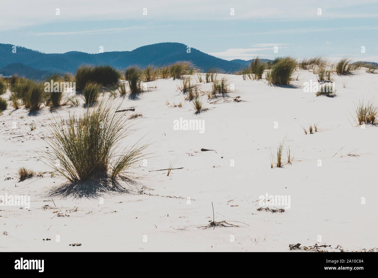 sand dunes along deserted beach in Marion Bay along the East Coast of ...