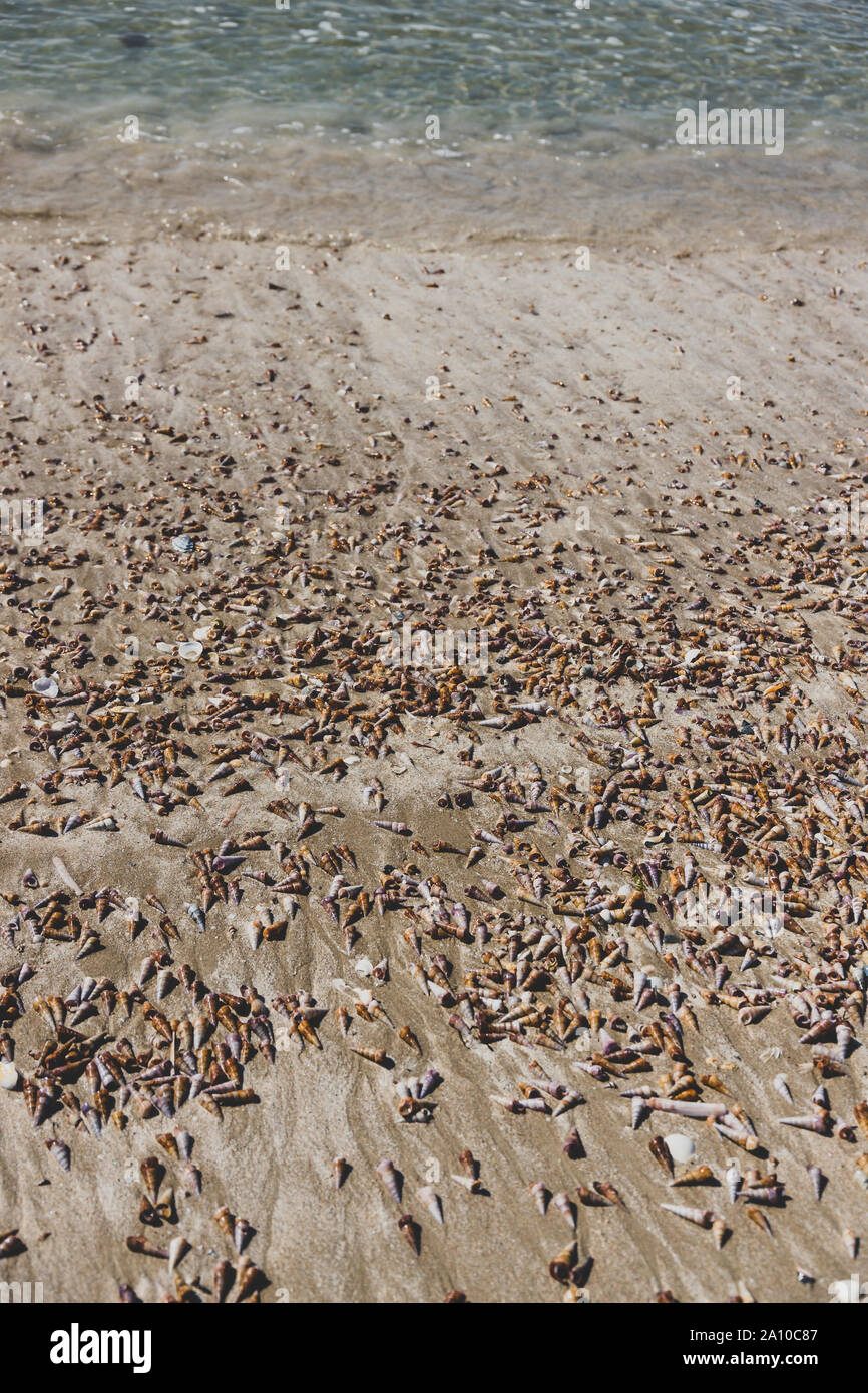 Marion bay beach tasmania hi-res stock photography and images - Alamy