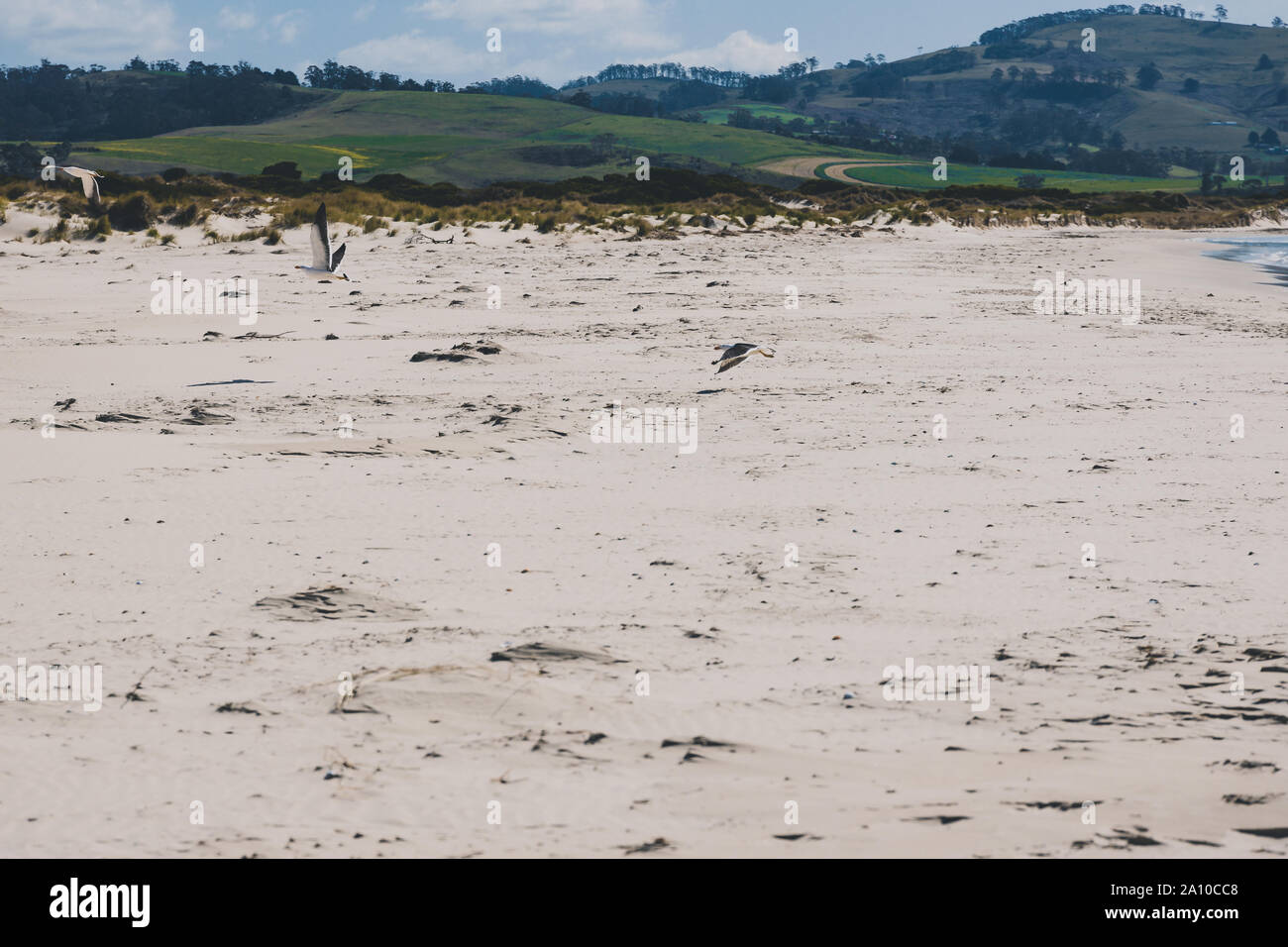 Marion bay beach tasmania hi-res stock photography and images - Alamy