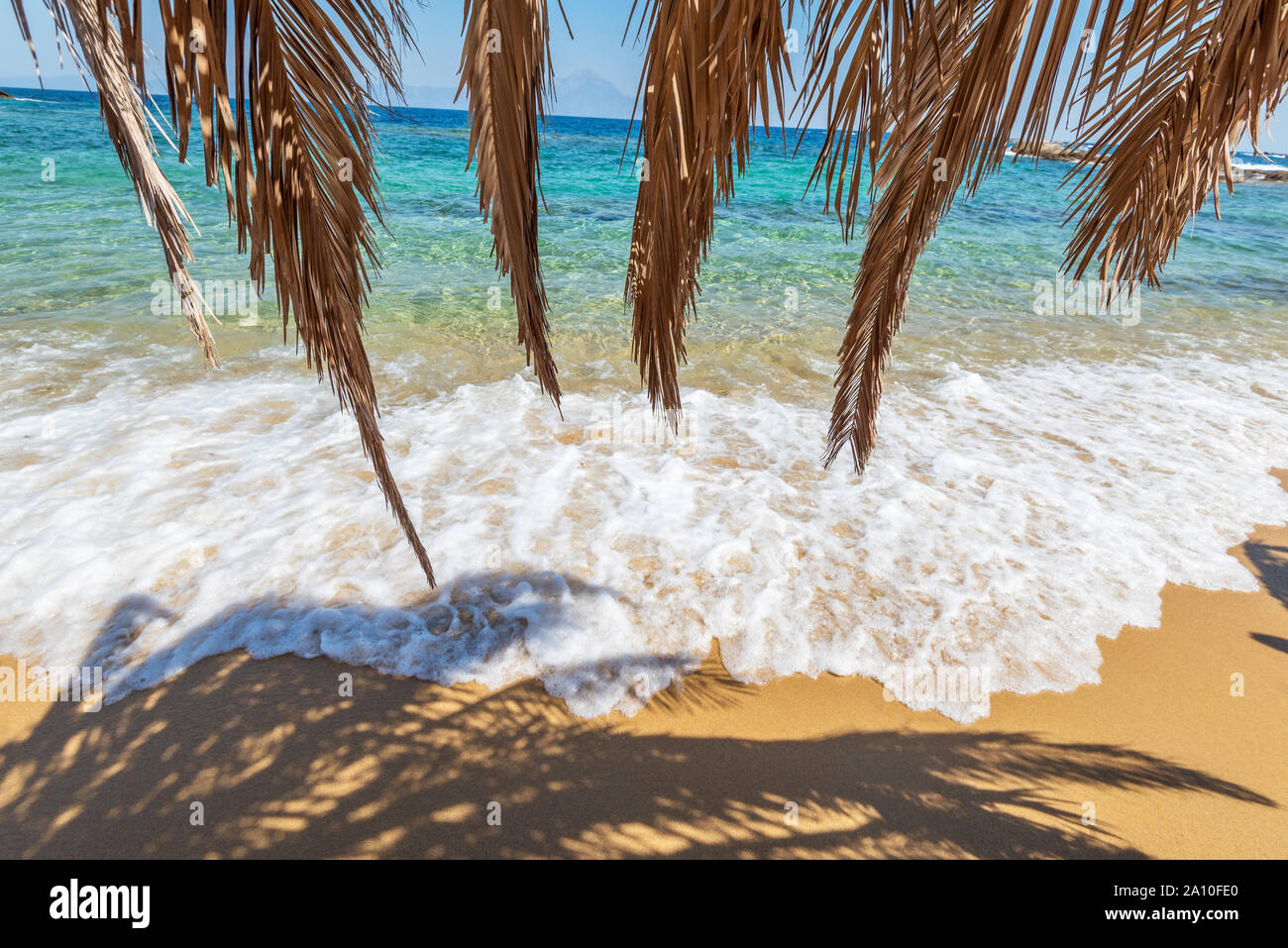 Beautiful Tigania beach on Greece peninsula Sithonia, part of larger ...