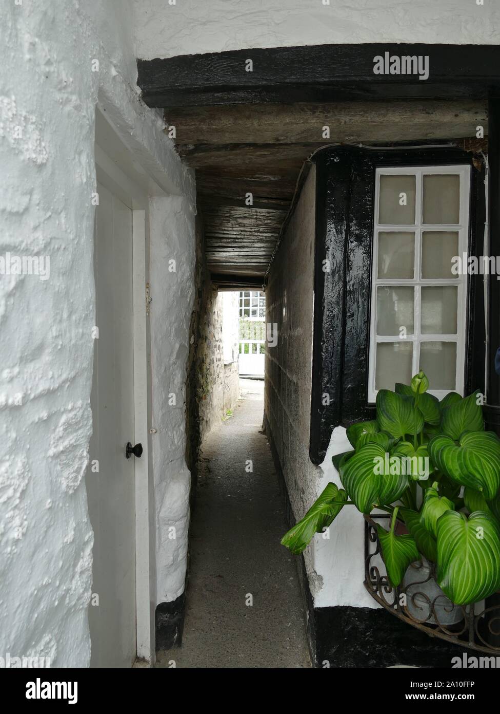 Squeeze Belly Alley, a narrow street in Port Isaac, Cornwall Stock ...