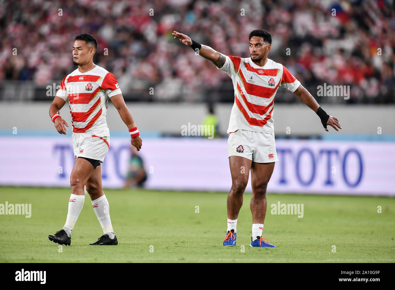 Tokyo, Japan. 20th Sep, 2019. /Yu Tamura/ Timothy Lafaele (L)(JPN ...