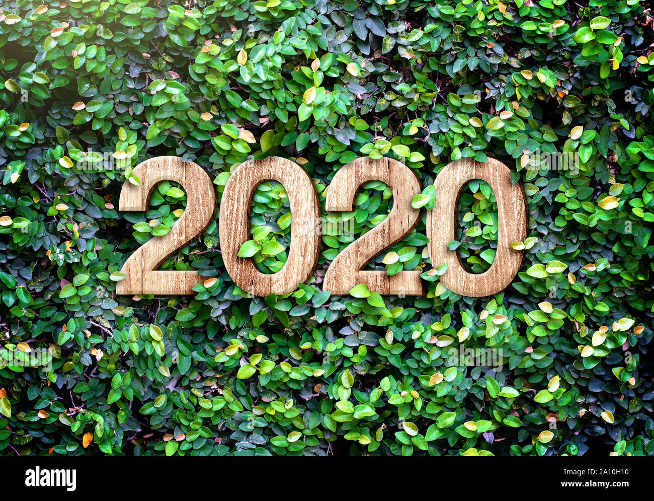 2020 happy new year wood texture number on Green leaves wall background ...