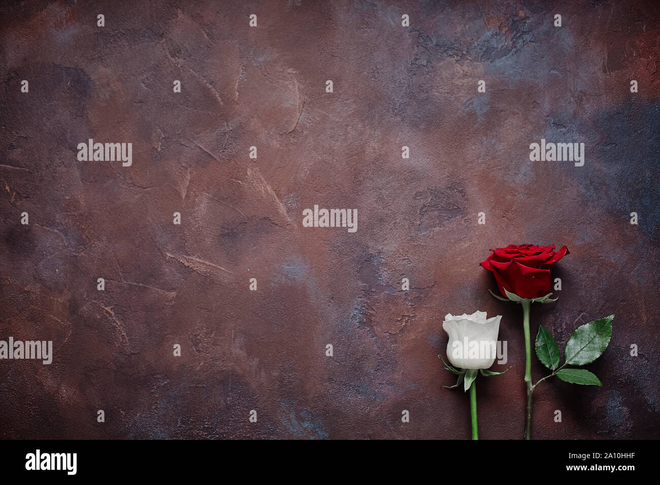 White and red rose on a beautiful stone background Stock Photo - Alamy