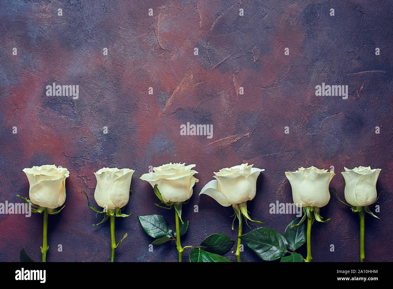 Six white roses on a beautiful stone background. Space for labels Stock ...
